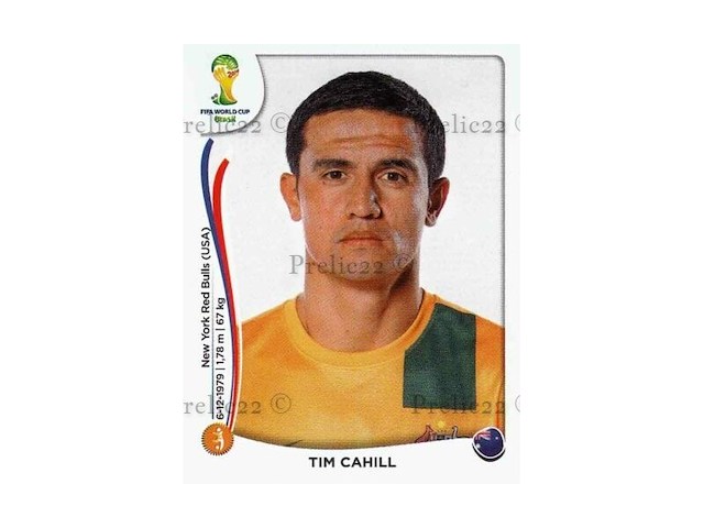 BRAZIL Brasil FIFA WC 2014 sličica broj 178, Panini