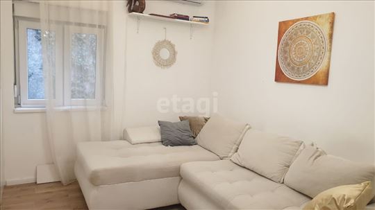 Nameštena kuća sa dvorištem na Senjaku