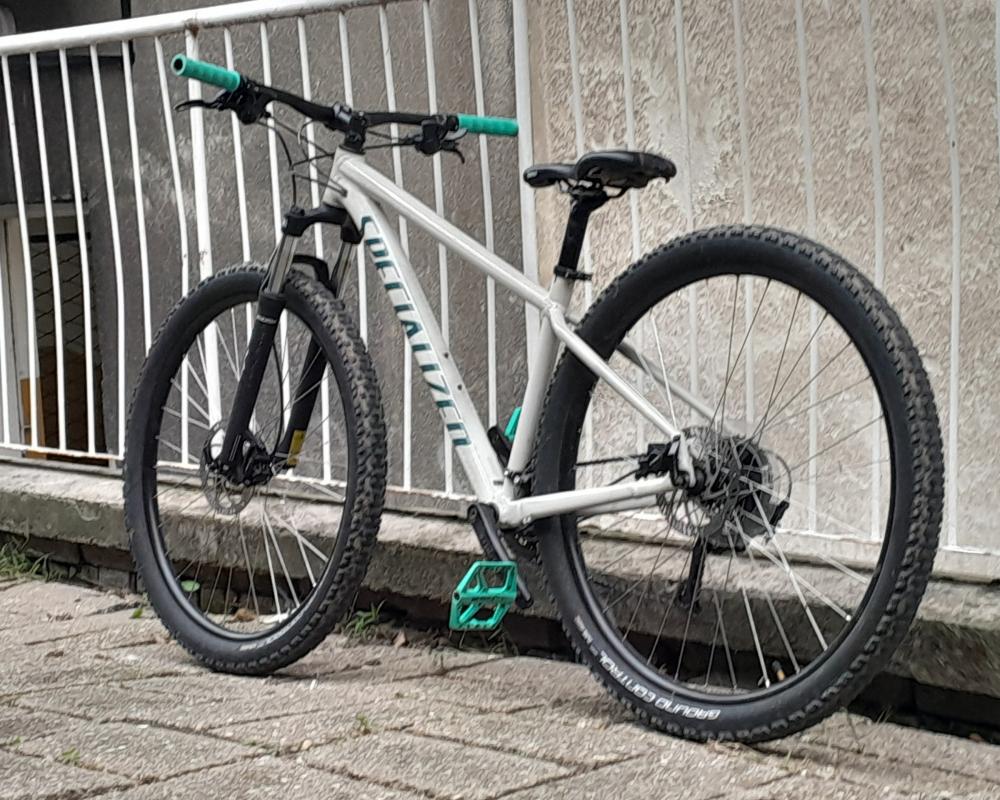 SPECIALIZED rockhopper 29
