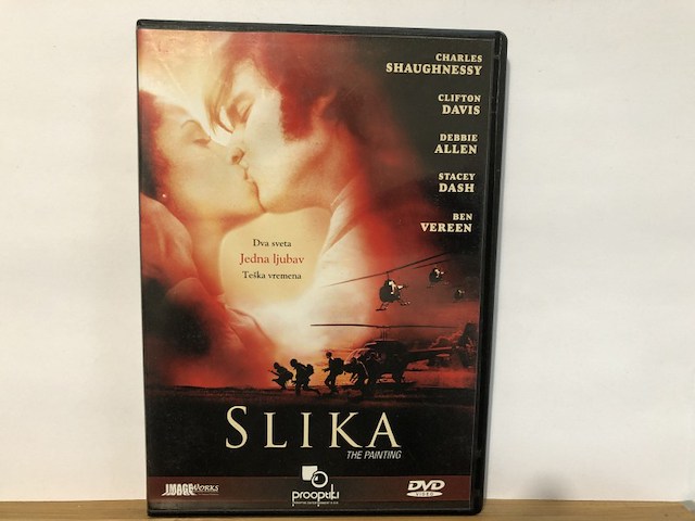 Slika - The Painting DVD