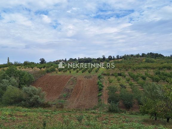 Prodajem plac u Zaklopači