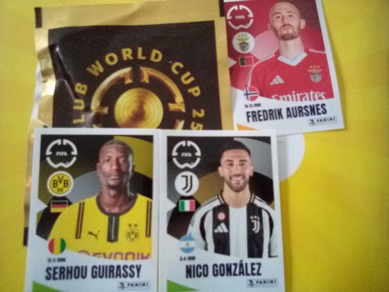 CLUB WORLD CUP 25 PANINI Sličice na komad MINT
