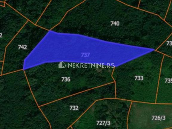 Prodajem šumu na Kršnom brdu