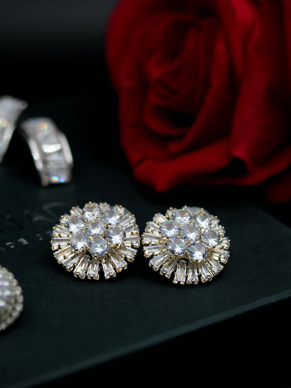 Earrings E2680