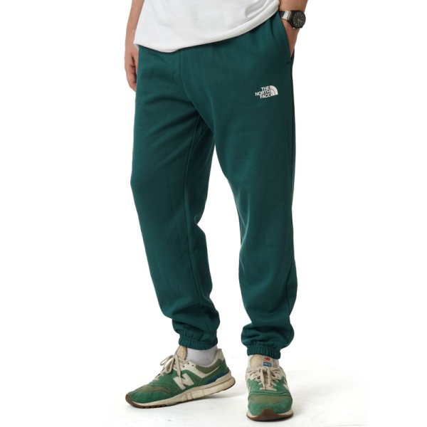 THE NORTH FACE TRENERKA DONJI DEO M SIMPLE DOME REGULAR TAPERED JOGGER ZA MUSKARCE