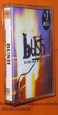 Bush Razorblade Suitcase