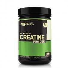 Creatine Powder Micronized, 317g