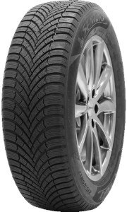 Sentury Winterdragon 205/55 R17 95H XL