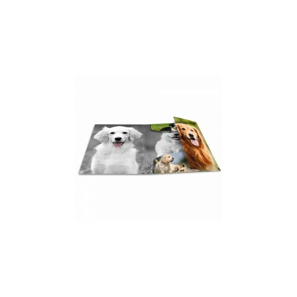 HERMA Fascikla PP sa gumicom - Dogs, 240 x 320 x 15 mm
