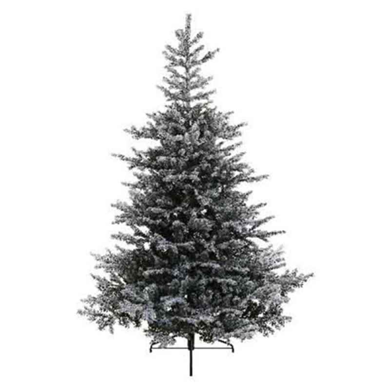 Jelka Grandis fir snowy, visina 180cm (68.9761)ID: EK000570887