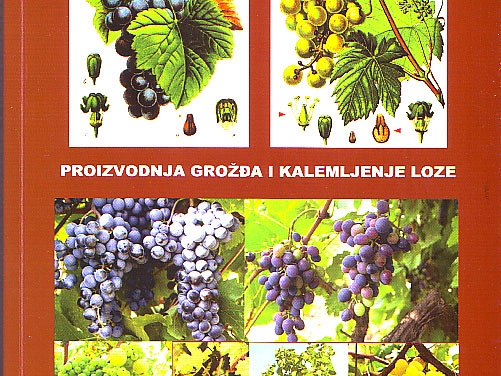 KNJIGA, PROIZVODNJA GROŽĐA I KALEMLJENJE LOZE,10