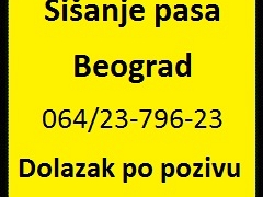 Sisanje pasa profesionalnom opremom Beograd
