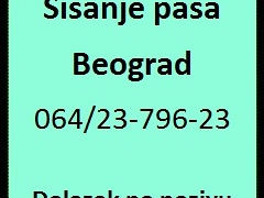 Sisanje pasa profesionalnom opremom Beograd