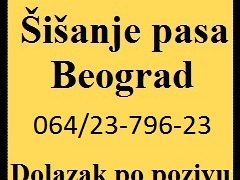 Sisanje pasa Beograd