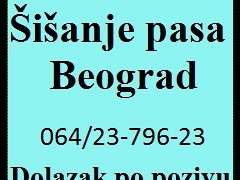 Sisanje pasa profesionalnom opremom Beograd
