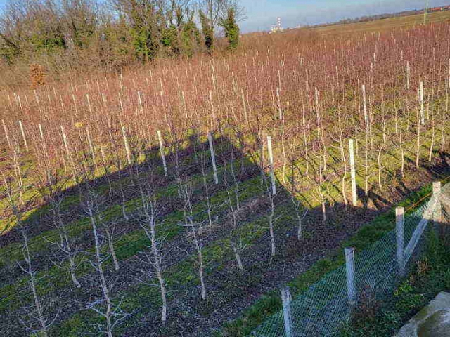Na prodaju PLAC u Mesarcima, opština Vladimirci