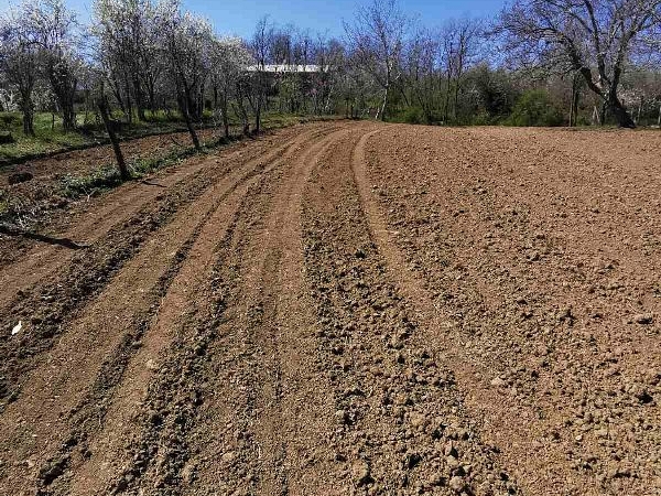 Plac i kuća na prodaju, 13,22 ara, Jazak