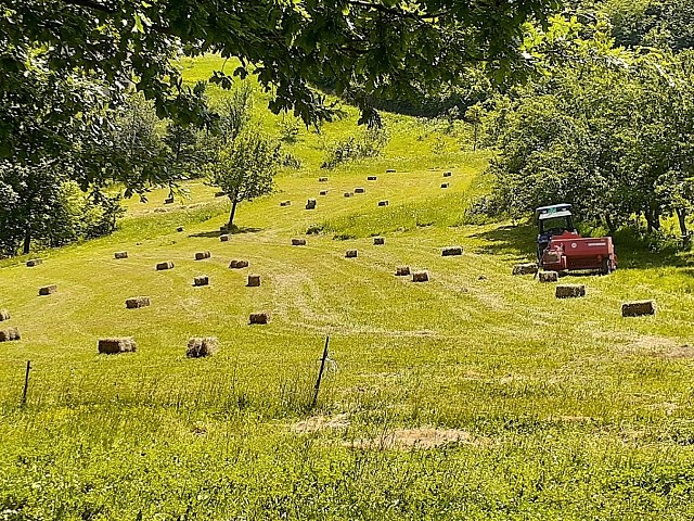 Seocko domacinstvo u ponudi