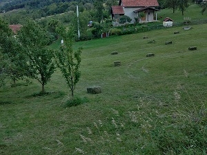 Kuca 130 m2 i plac 90,32 ara Pakovrace Cacak Srbija