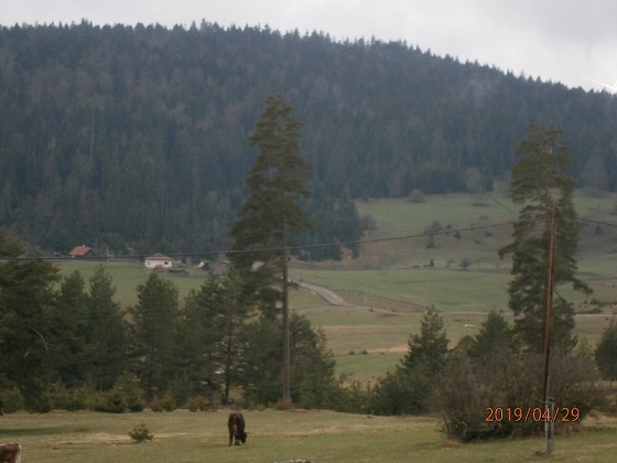 Plac 1,50 ha Han Pijesak Mrkalji 1