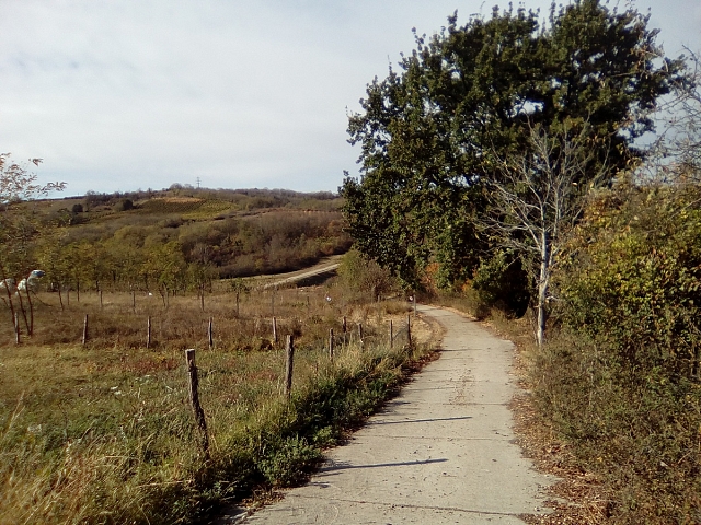 Smederevo,plac kod Jasenka 490 E./ar.