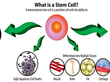 **Povratite svoje zdravlje