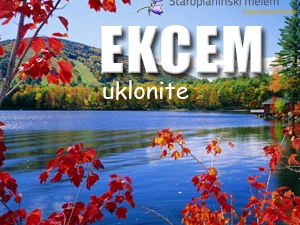 Ekcem lek krema protiv ekcema