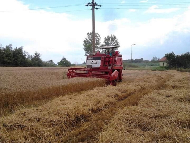 KOMBAJN Ferguson 1973 - registrovan