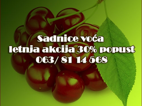 30% Popust - Voćne sadnice LETNJA AKCIJA