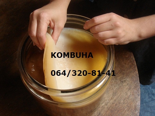 KOMBUHA – KOMBUCHA ZA DUG I ZDRAV ŽIVOT