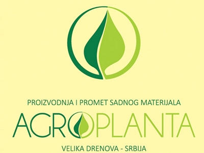 Voćne Sadnice Lozni Kalemovi Agroplanta
