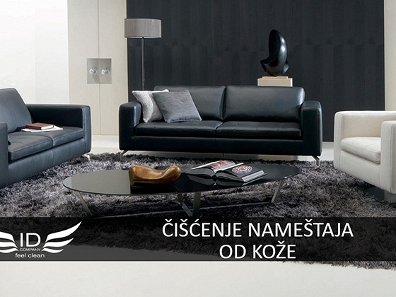 Čišćenje nameštaja od kože i eko kože