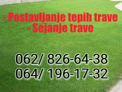 Sejanje trave - Postavljanje tepih trave
