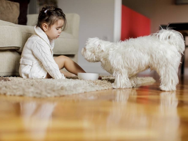 Dubinsko pranje Krstić - najpovoljnije u Beogradu !!!!
