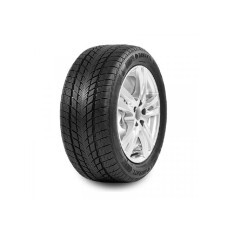 315/35R20 DAVANTI 110V Wintoura SUV zimID: EK000774967