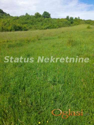 Vrdnik-Plac 7500 m2 u blizini Fruške Terme-065/385 8880