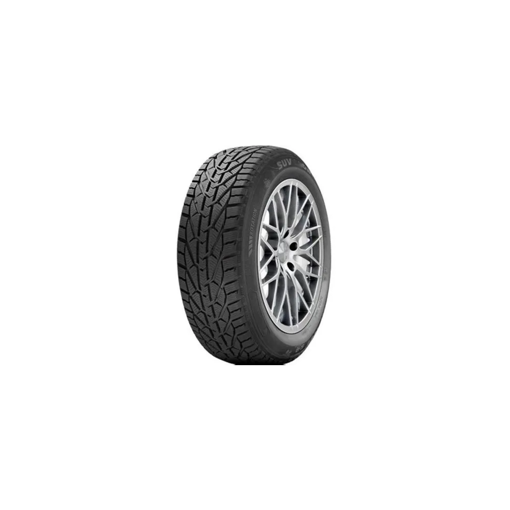 Tigar Zimska auto guma 195/65 R15 WIN 91H