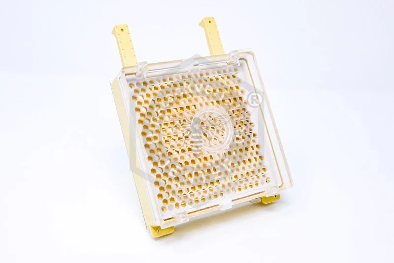 136010 - Jenter aparat - tabla