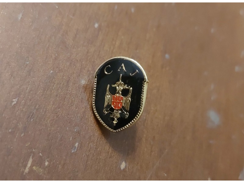 SAJ pin