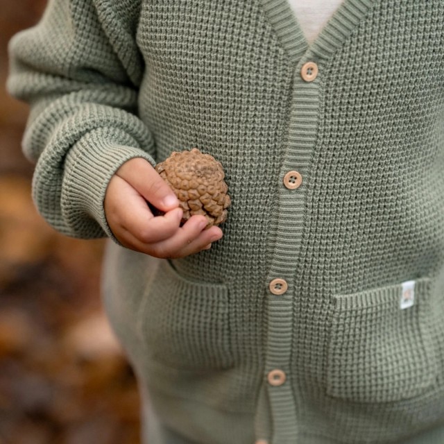 DŽEMPER, MASLINASTI - FOREST FRIENDS