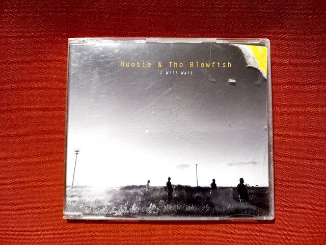Hootie &;; The Blowfish - I Will Wait (maxi cd)