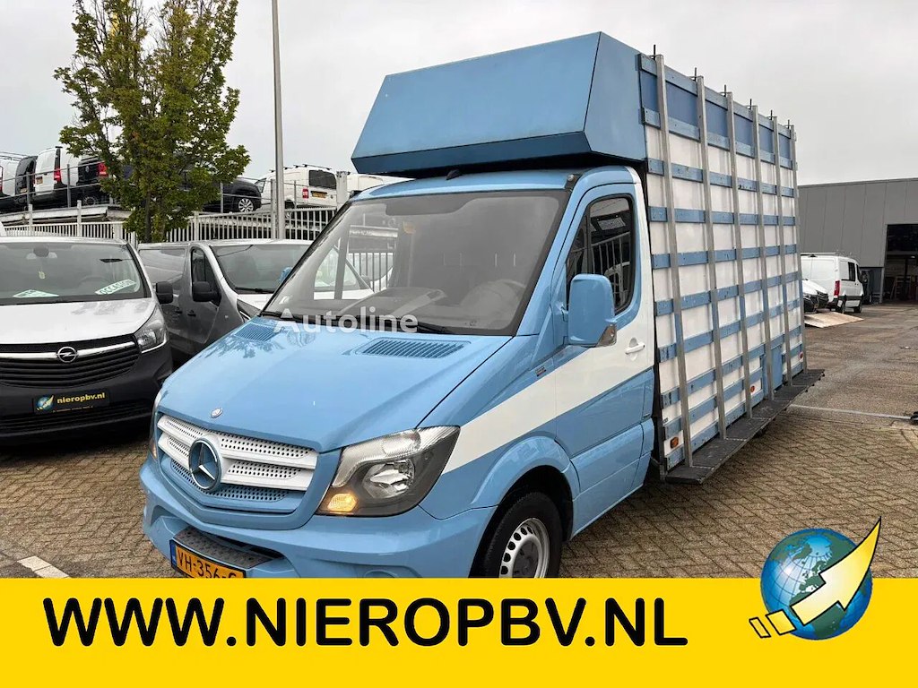 Mercedes-Benz Sprinter 313 cdi glasresteel vozilo za prevoz stakla