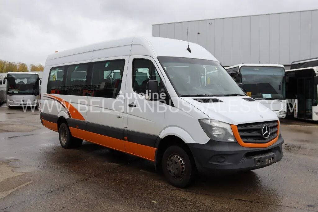 Mercedes-Benz Sprinter Transfer 45/Basic 45 putnički minibus
