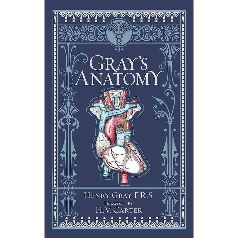 GRAYS ANATOMY hc