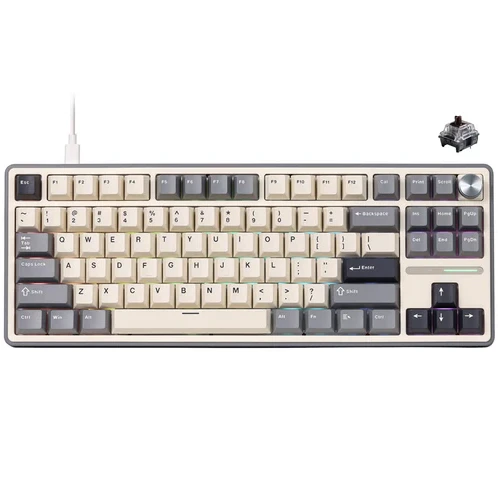 Royal Kludge Gaming mehanička tastatura R87, Bež