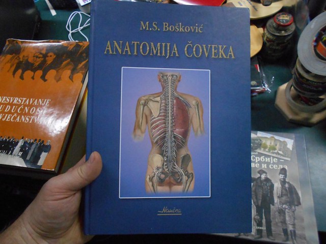 M. S. Bošković - ANATOMIJA ČOVEKA