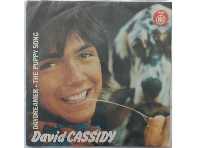 DAVID  CASSIDY  -  DAYDREAMER