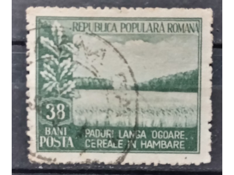 RUMUNIJA 1954 - ŠUMOVITA PLANINA
