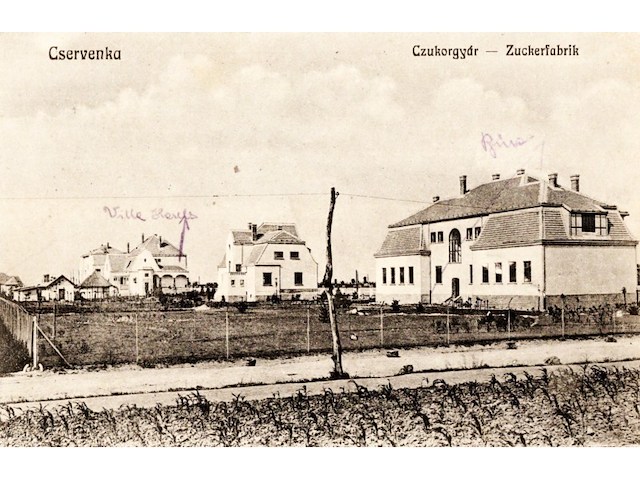 Crvenka oko 1915