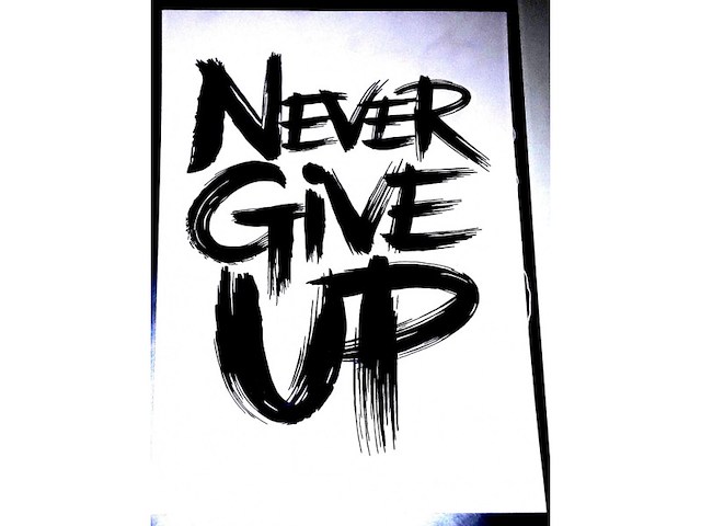 Crtez na hamer papiru 30 x 21,5 cm. - Never give up